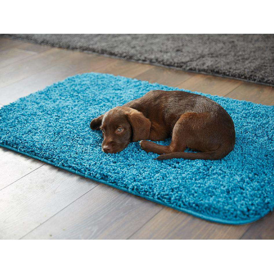 Teal Rugs for Sale | Fluffy, Shag & Dark Teal Rugs | Woven — Woven Rugs